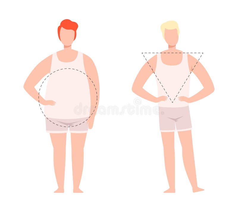 Different Human Figure and Body Shape Type Vector Set Stock Vector ...