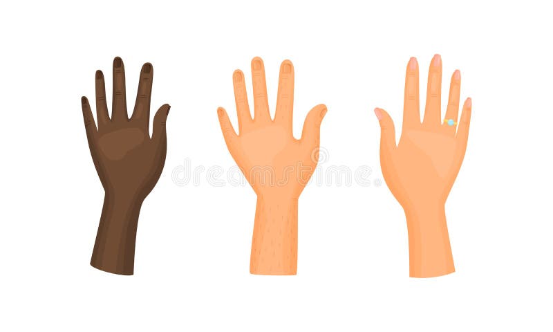Different Human Right and Left Hands with Palm Raised Up Vector Set ...