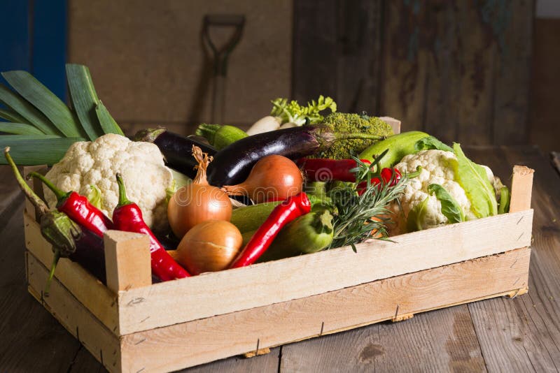 Different Kind of Local Vegitables on the Wooden Rustic Table. Organic ...