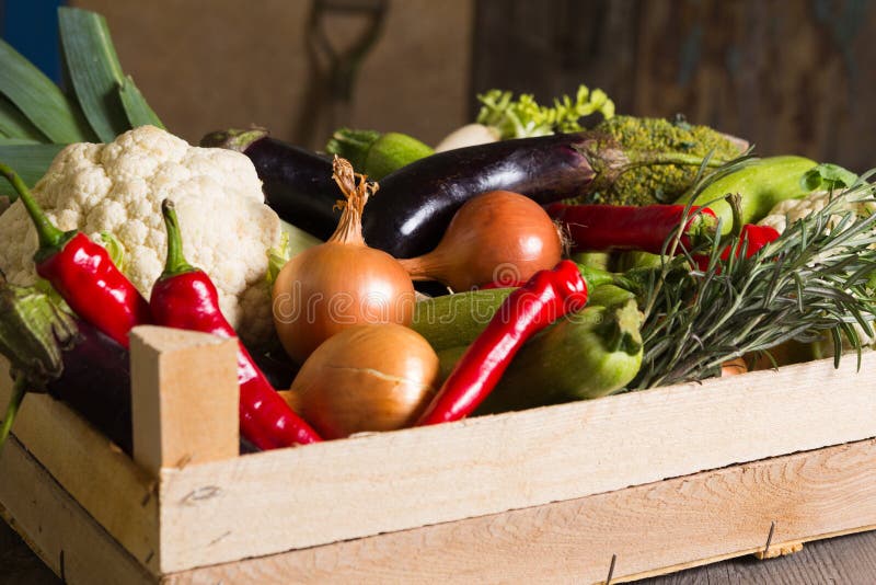 Different Kind of Local Vegitables on the Wooden Rustic Table. Organic ...