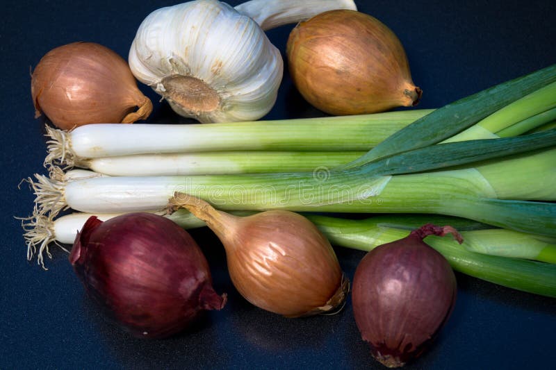 Different kind of onions stock photo. Image of kitchen - 120329670