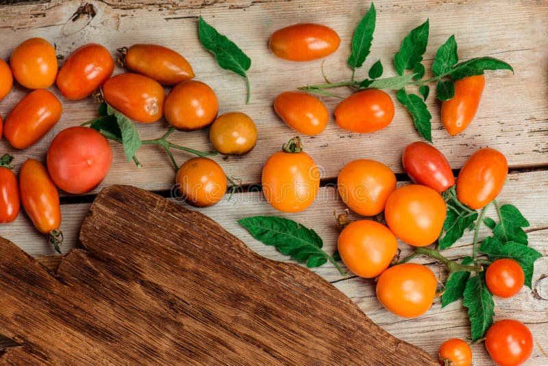 Different Kind Tomatoes Closeup Assorted. Red and Yellow Tomatoes Stock ...