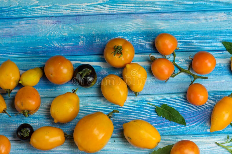 Different Kind Tomatoes Closeup Assorted. Red and Yellow Tomatoes Stock ...