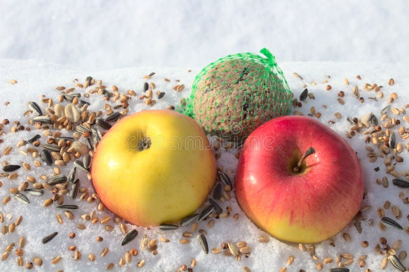 Different Kinds of Bird Food in the Snow Stock Photo - Image of ...