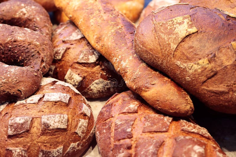 Different Kinds of Bread Loaves on Bakery Counter Stock Photo - Image ...