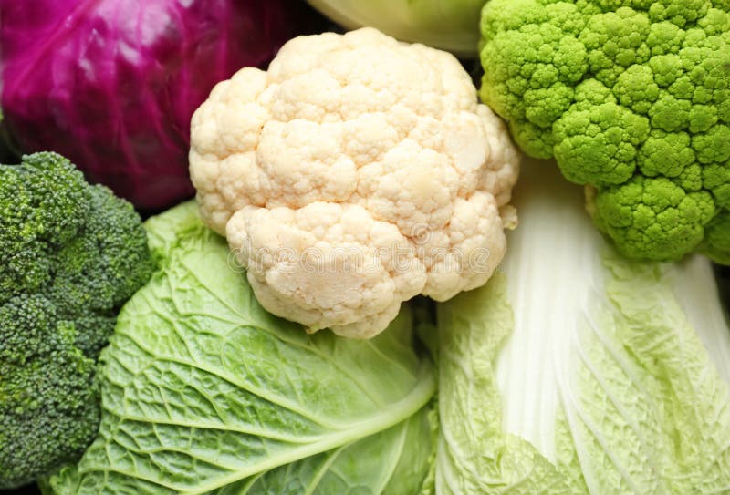 Different Kinds of Cabbage, Closeup Stock Image - Image of appetizing ...