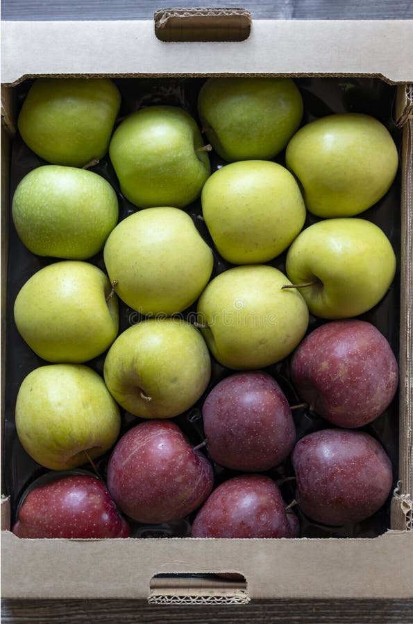 Different Kinds of Green and Red Apples Stock Photo - Image of ...