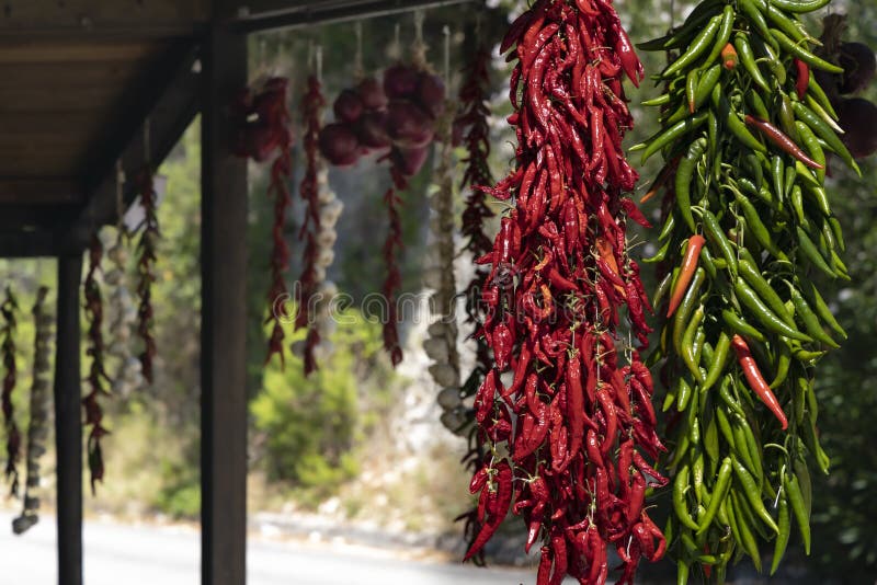 Hanging Chili Ristras stock photo. Image of taste, tradition - 39998538