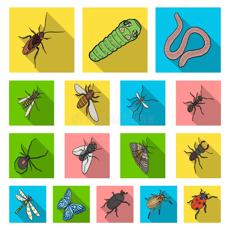 Different Kinds of Insects Flat Icons in Set Collection for Design ...