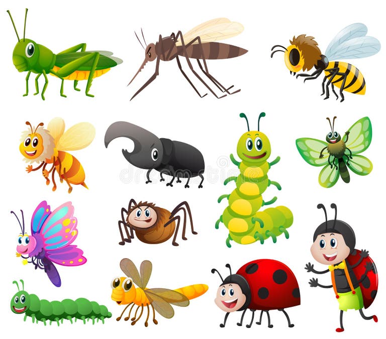 Different Kinds of Insects on White Background Stock Vector ...
