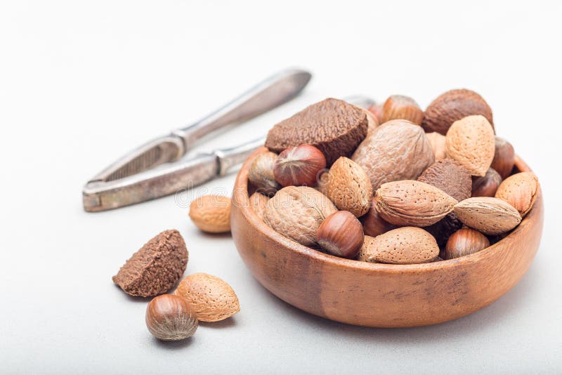 Different Kinds of Nuts in the Shell: Hazelnut, Walnut, Almond and ...