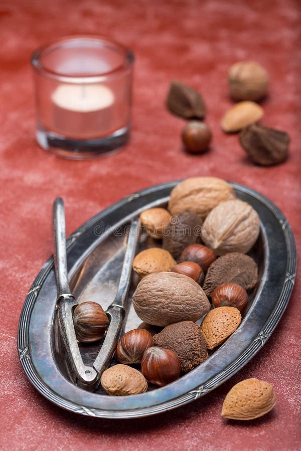 Different Kinds of Nuts in the Shell: Hazelnut, Walnut, Almond and ...