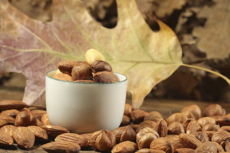 Different Kinds of Nuts in White Cup, Hazelnuts, Almonds on Table with ...
