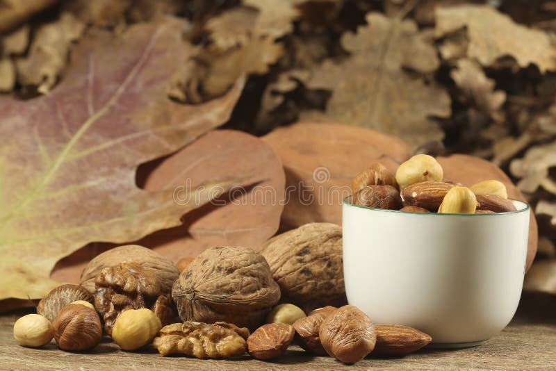 Different Kinds of Nuts in White Cup, Hazelnuts, Almonds, Walnuts on ...