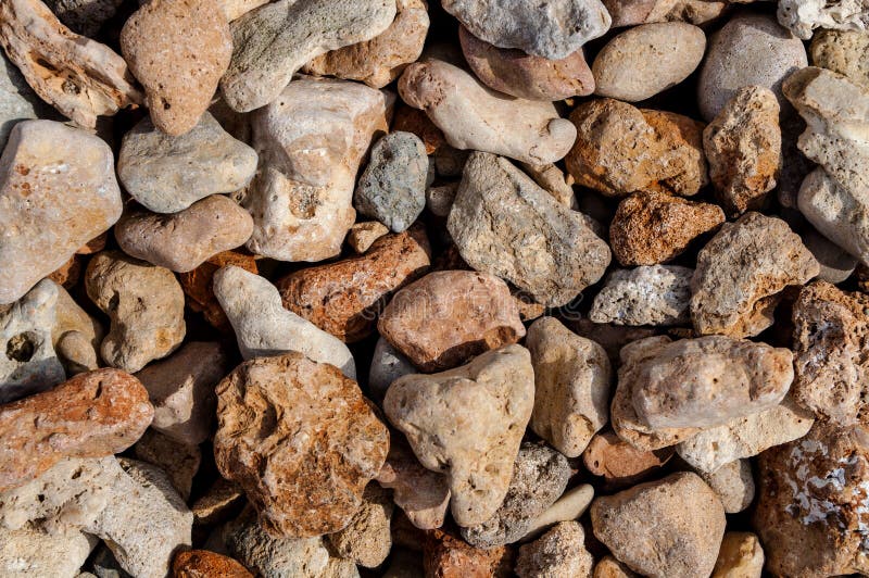 Different Kinds of Pebbles Lying on the Beach Stock Photo - Image of ...