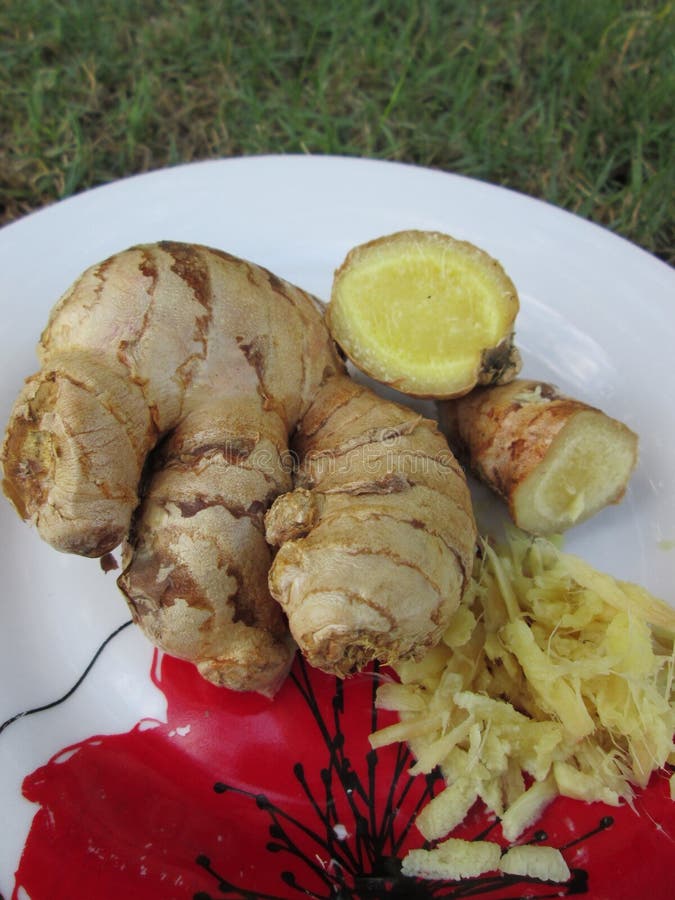 Different Kinds of Raw Ginger. Stock Photo - Image of chinese, close ...