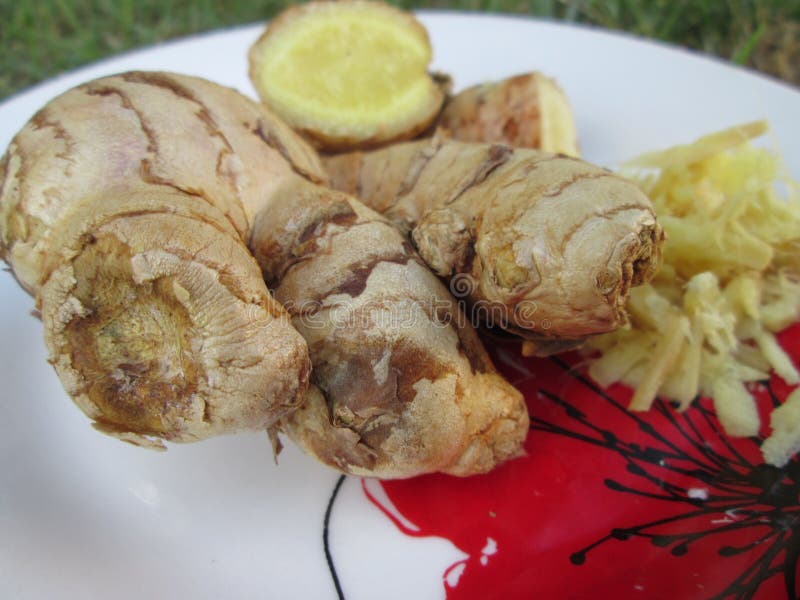 Different Kinds of Raw Ginger. Stock Photo - Image of chinese, close ...