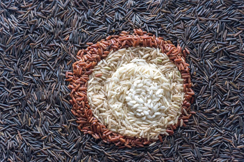 Different Kinds of Rice: Top View Stock Photo - Image of nutrition ...