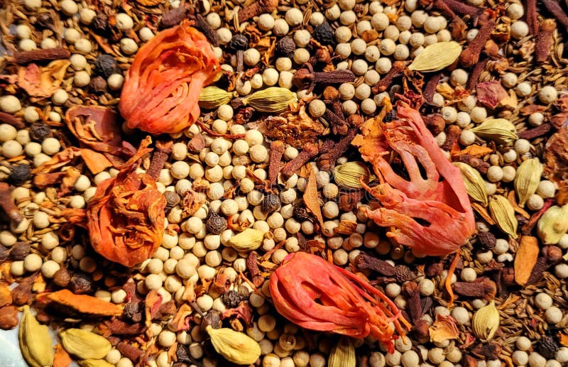 Different Kinds of Spices from South Asia Stock Photo - Image of ...