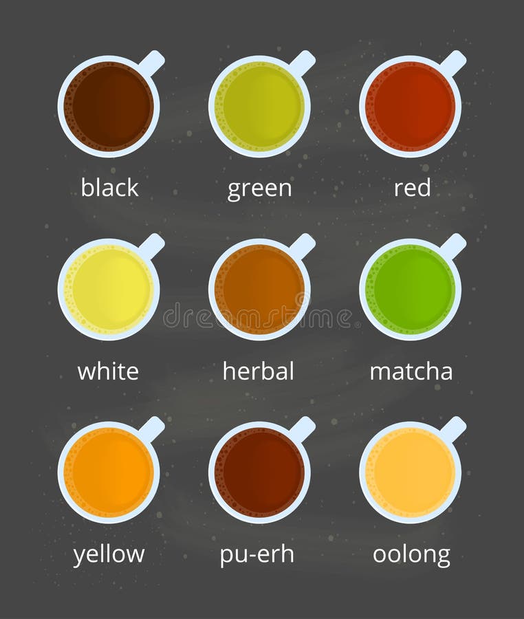 Different kinds of tea. stock vector. Illustration of isolated - 226201770