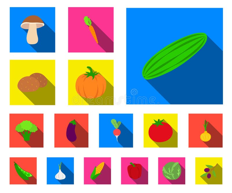 Different Kinds of Vegetables Flat Icons in Set Collection for Design ...