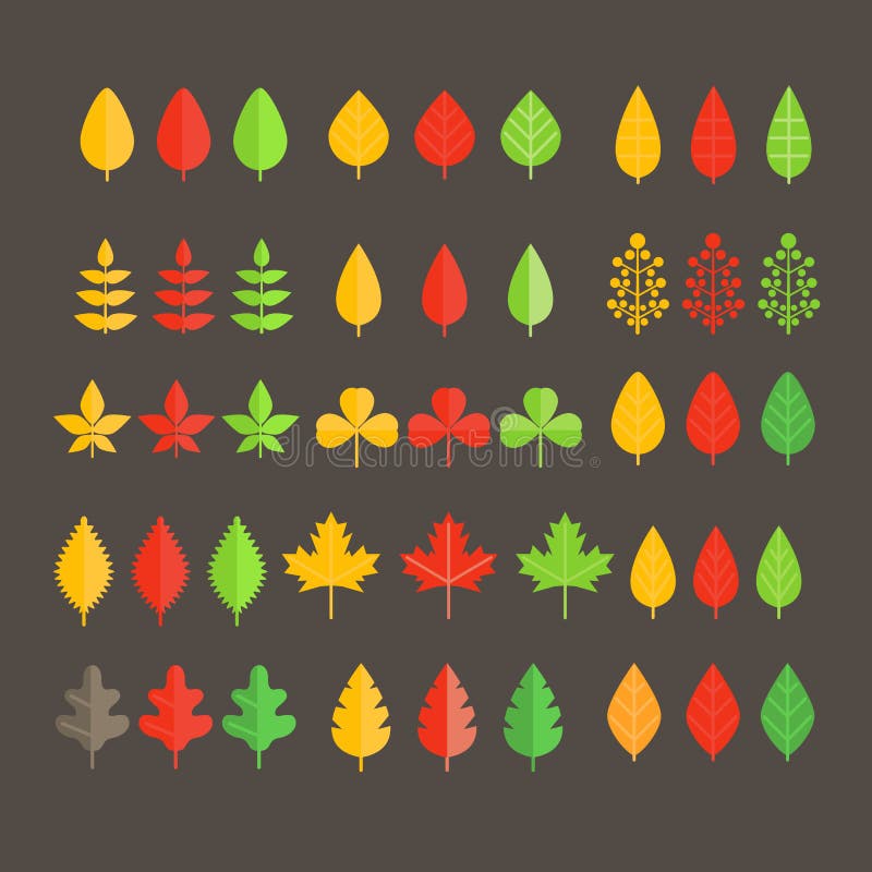 Different Leaf Silhouettes Collection Stock Vector Illustration Of