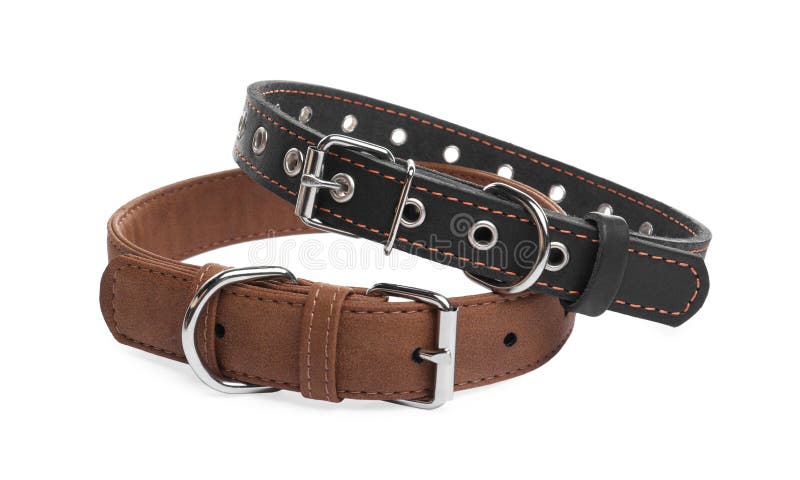 Different Leather Dog Collars on White Background Stock Photo - Image ...