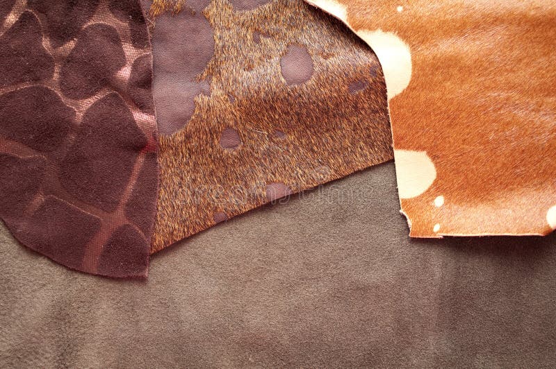 Leather samples stock photo. Image of drive, individuation - 30375030