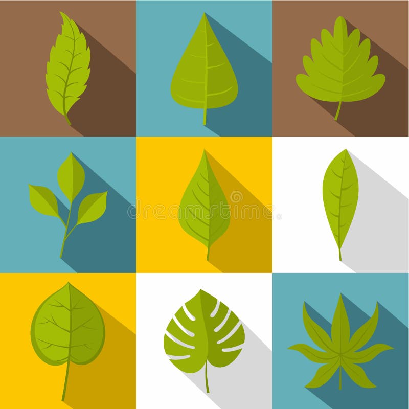 Different Leaves Icon Set, Flat Style Stock Vector - Illustration of ...