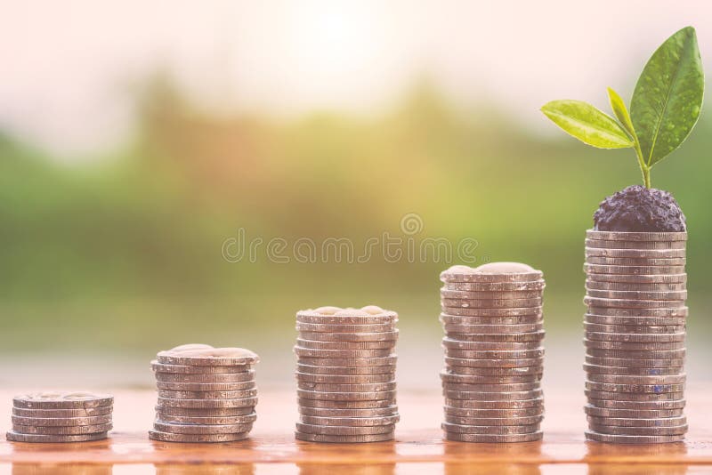 Different Level of Coin Stack with Water Drop and Tree Growing O Stock ...
