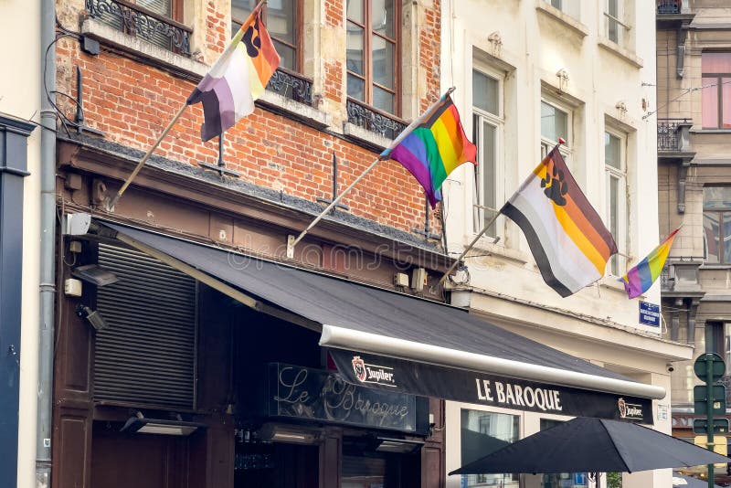Different LGBT Flags Hanging on a Building in Brussels Editorial Stock ...
