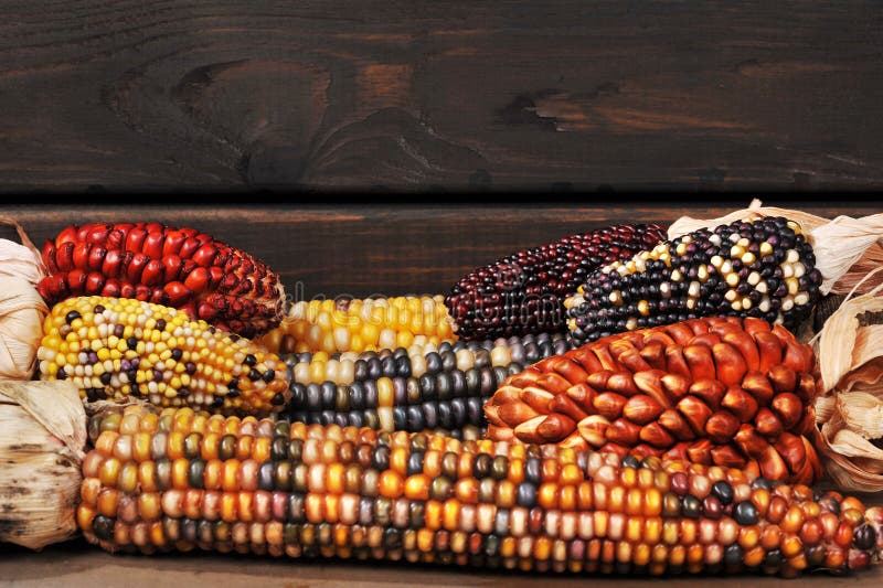 Different Maize and Corn Types in the Basket Stock Photo - Image of ...