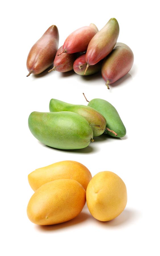 Different mangos stock photo. Image of close, isolated - 130768614