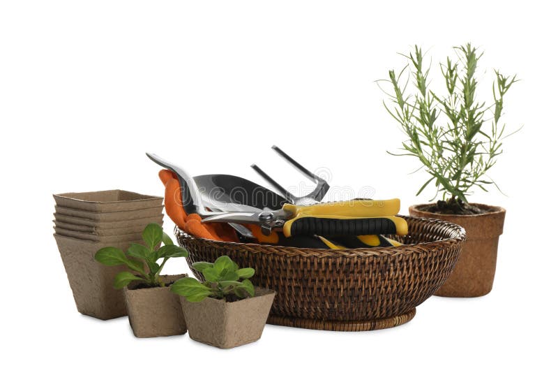 Different Modern Gardening Tools on White Background Stock Image ...