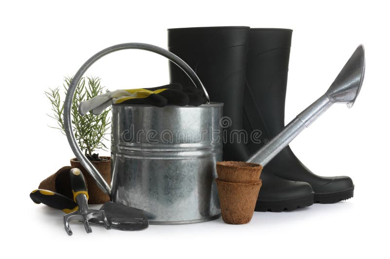 Different Modern Gardening Tools on White Background Stock Image ...