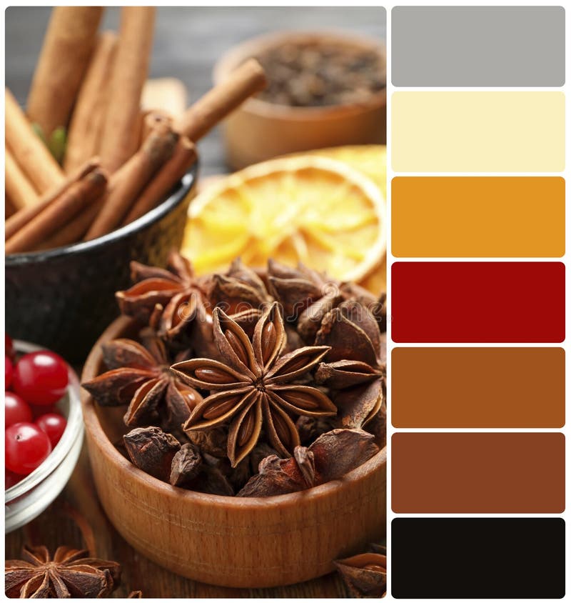 Different Mulled Wine Ingredients on Table and Color Palette. Collage ...