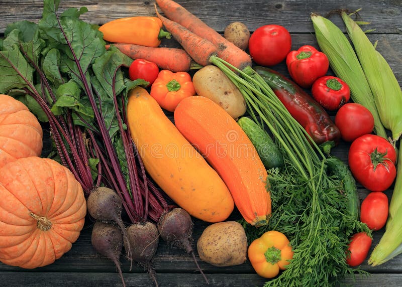 Different Multi-colored Vegetables and Fruits on the Dark Background ...