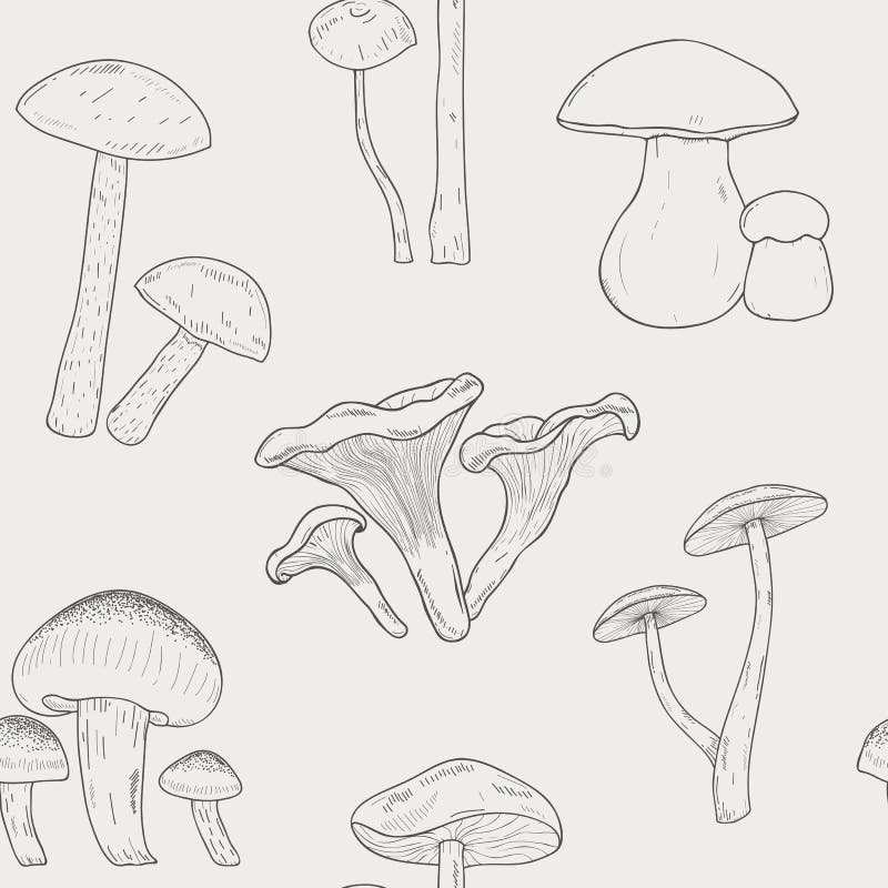 Collection of Hand Drawn Different Types Mushrooms. Sketch Vector ... Collection of Hand Drawn Different Types Mushrooms. Sketch Vector ...