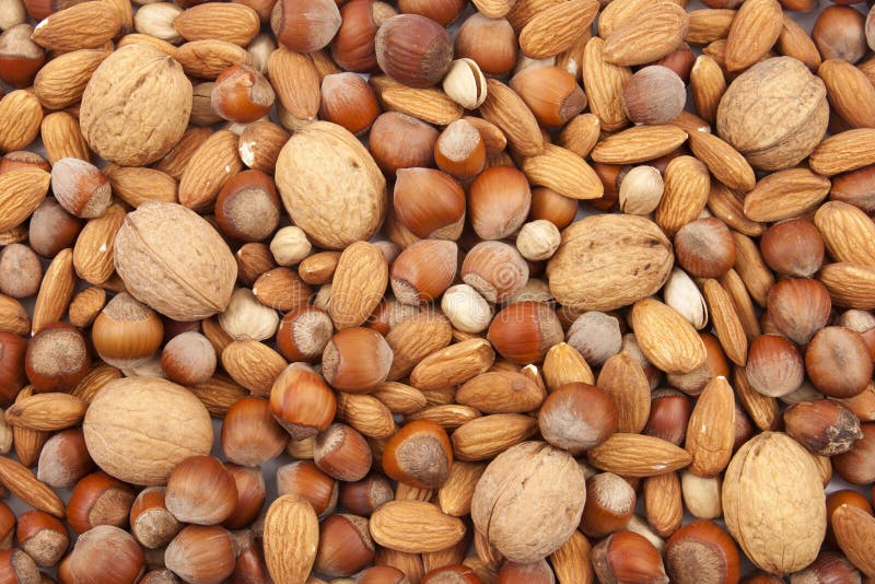Different nuts stock photo. Image of frame, seed, hazelnut - 25201670