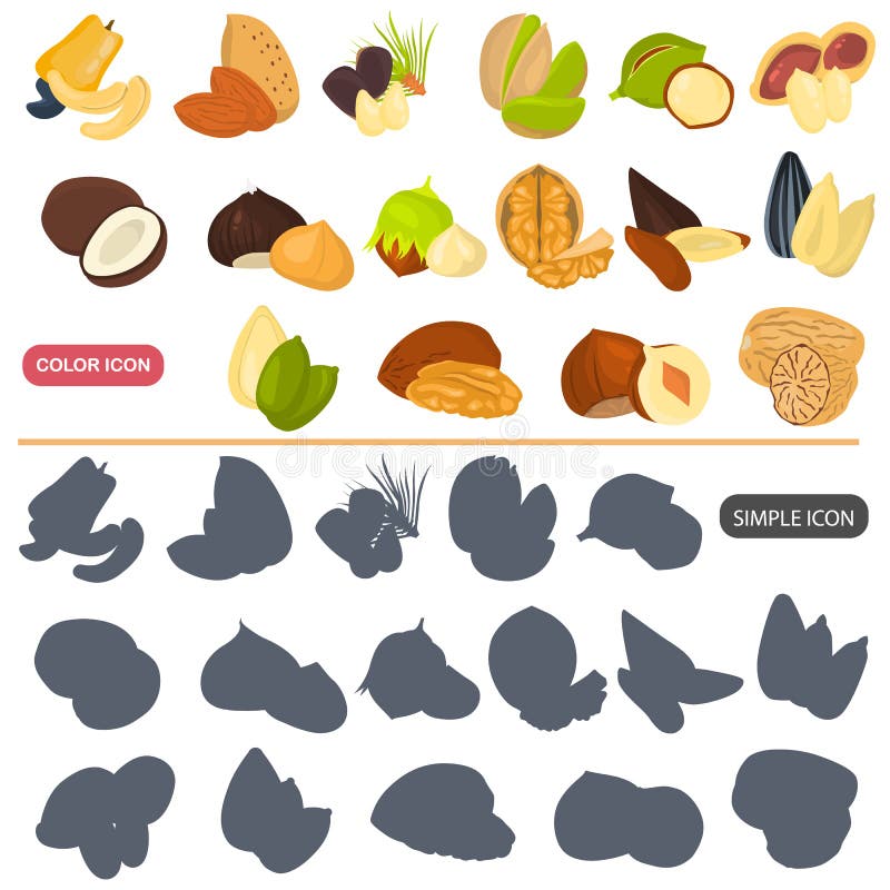 Different Nuts Color Flat and Simple Icons Set Stock Illustration ...