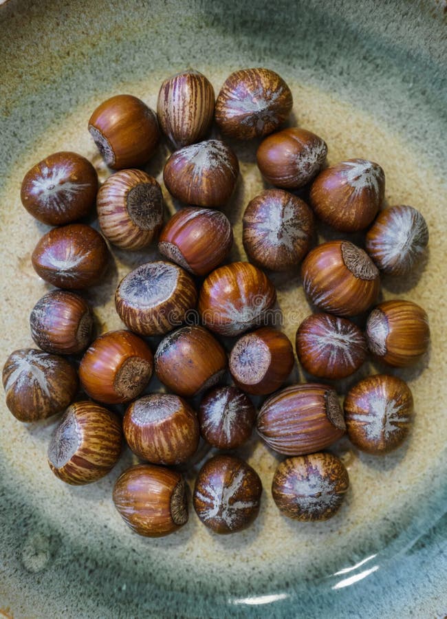 Different Nuts Scattered on the Table Stock Photo - Image of hazelnut ...