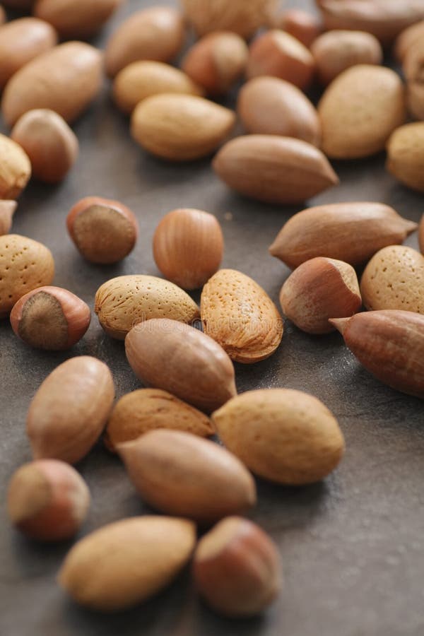 2,301 Different Nuts Shell Stock Photos - Free & Royalty-Free Stock ...