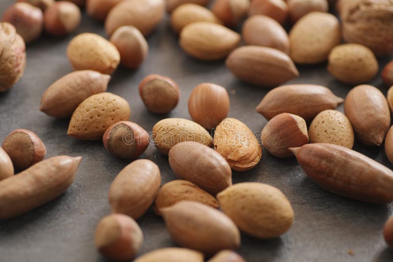 Different nuts shell stock image. Image of healthy, nuts - 45088821