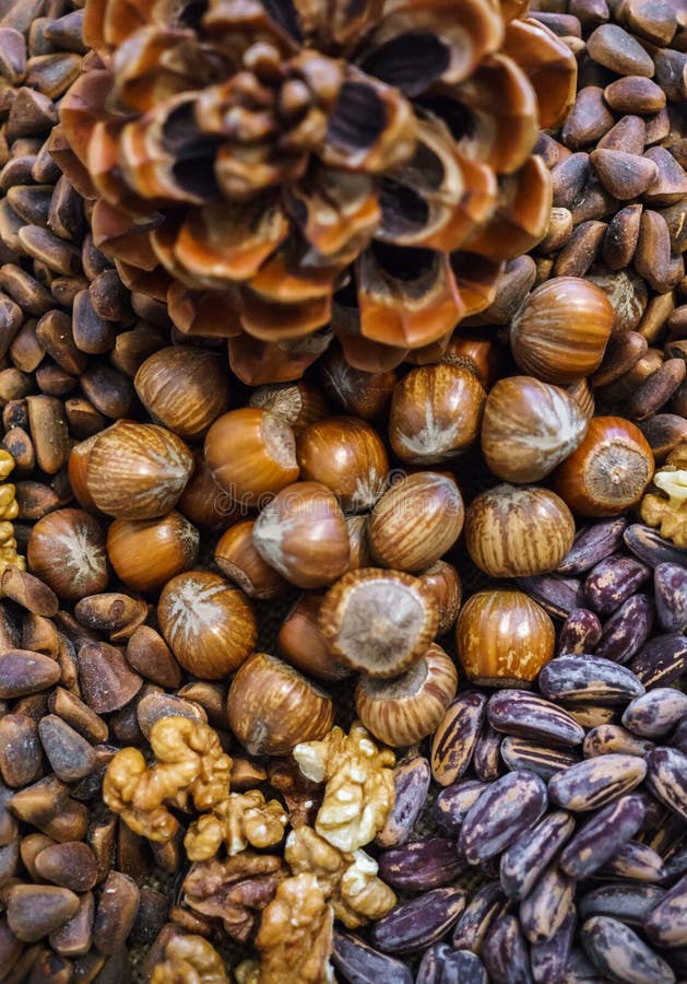 Different Nuts in the Shell and without it Scattered on the Table Stock ...