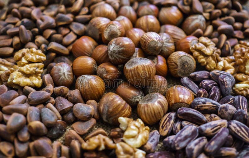 Different Nuts in the Shell and without it Scattered on the Table Stock ...