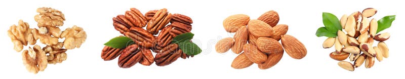 Different Nuts on White Background, Collection. Pecan, Walnut, Almond ...
