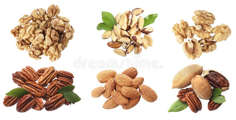 Different Nuts on White Background, Collection. Pecan, Walnut, Almond ...