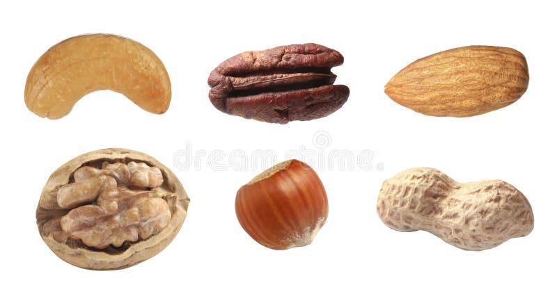 Different Nuts on White Background, Collection. Pecan, Walnut, Hazelnut ...
