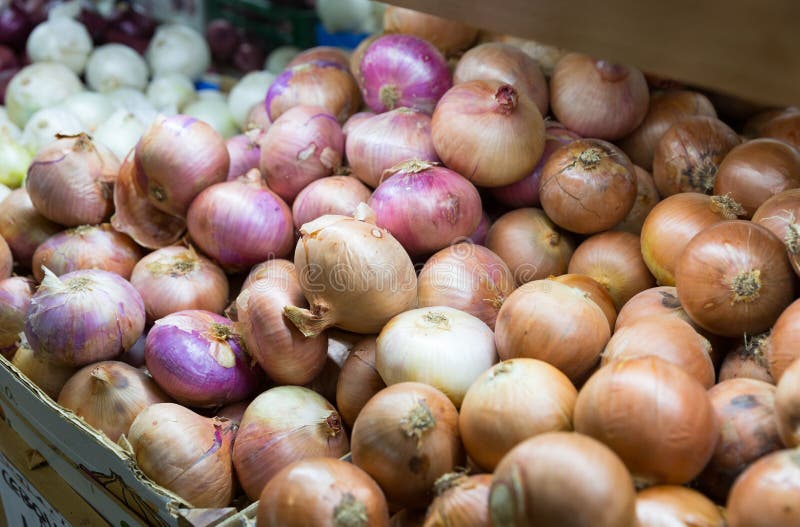 Different onion varieties stock image. Image of organic - 197025461
