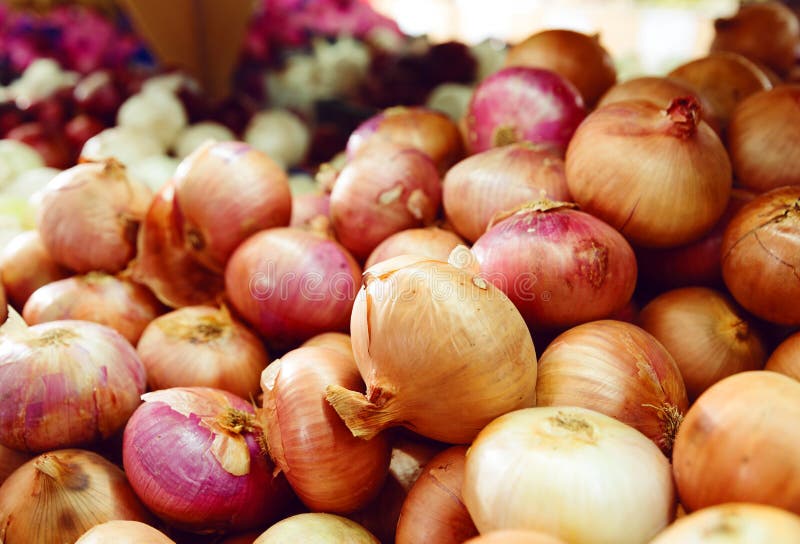 Different onion varieties stock image. Image of vegetables - 248530133